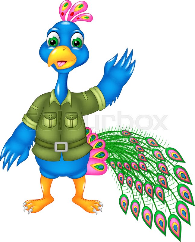 Vector Illustration Of Funny Peacock Stock Vector Colourbox