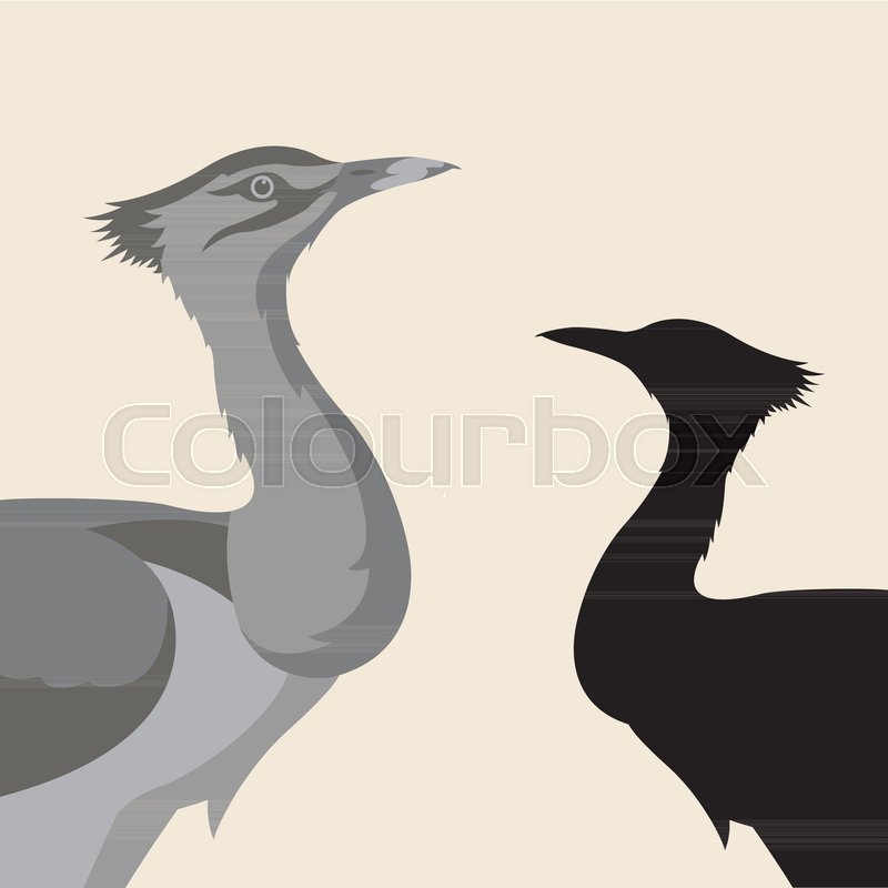 Bustard bird vector illustration flat ... | Stock vector | Colourbox
