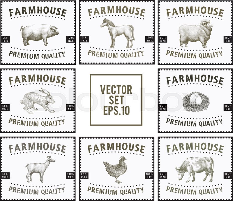 Labels with farm animals. Set ... | Stock vector | Colourbox