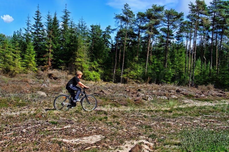 A young boy is cycling off road in the ... | Stock image | Colourbox