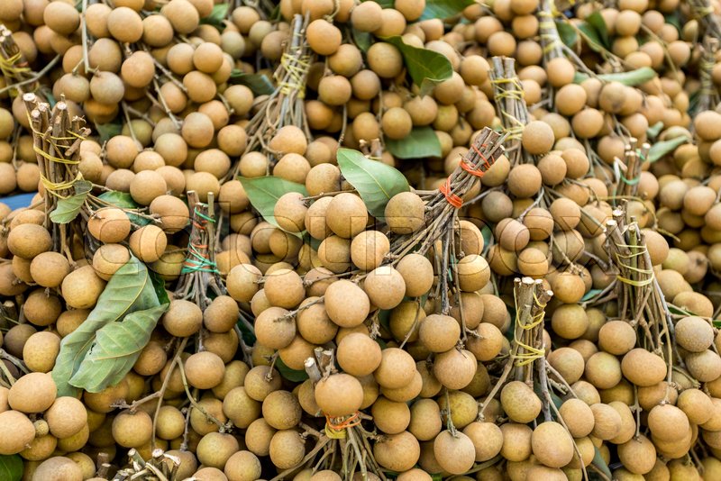 Fresh Longan Fruit