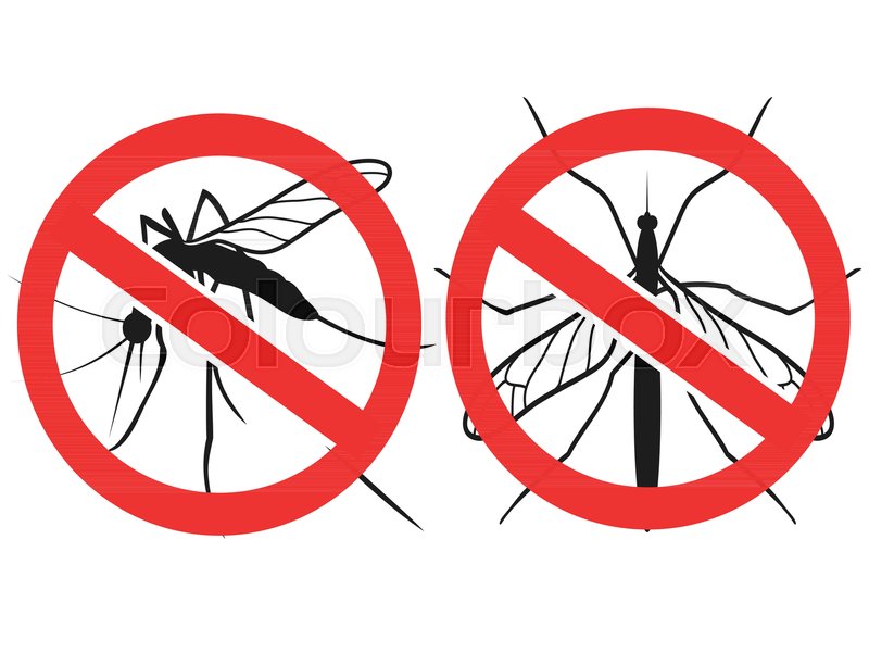 Isolated anti Mosquitoes sign,vector ... | Stock vector | Colourbox