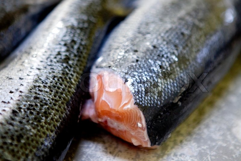 Norwegian Atlantic salmon during ... | Stock image | Colourbox