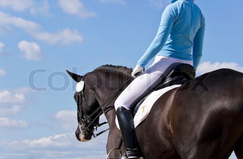 Reiter auf einem Pferd. | Stock Bild | Colourbox