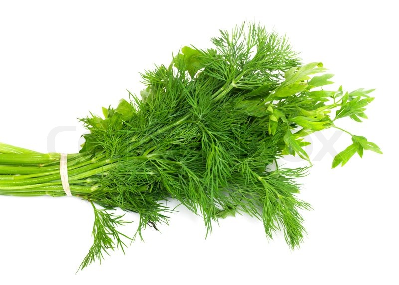 Dill and parsley isolated on a white ... | Stock image | Colourbox