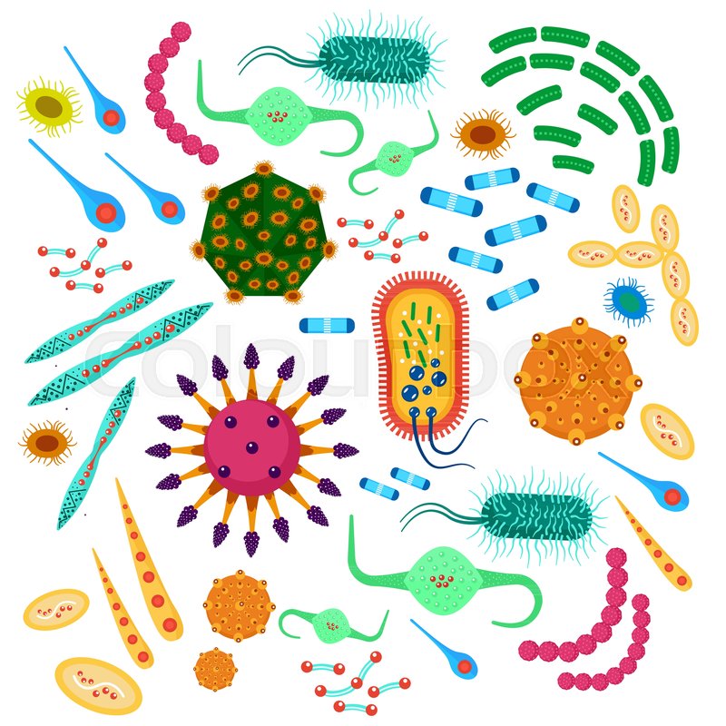 Microorganisms Bacteria And Viruses