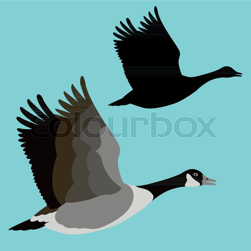 Goose vector illustration flat style ... | Stock vector | Colourbox