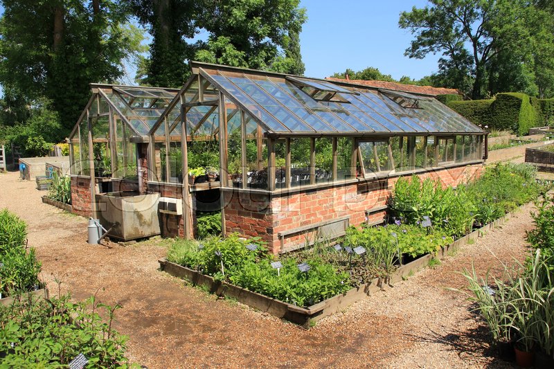 Hothouses with potted plants in Great ... | Stock image | Colourbox