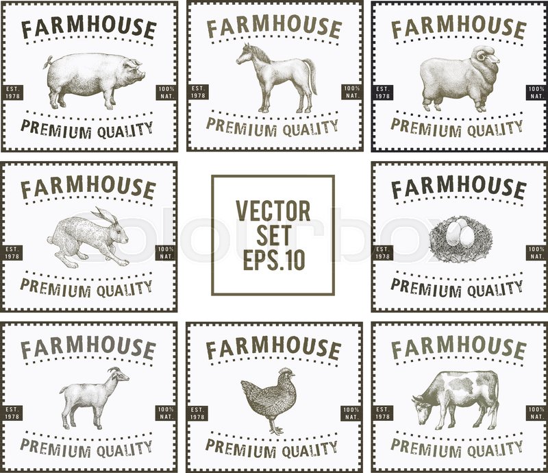 Labels with farm animals. Set ... | Stock vector | Colourbox