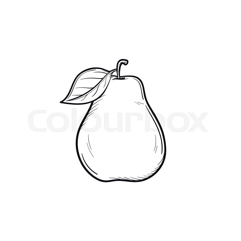 Pear Fruit Drawing
