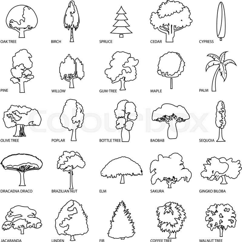 Tree types icons set. Outline ... | Stock vector | Colourbox