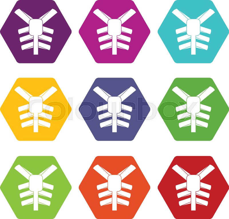 Human thorax icon set many color ... | Stock vector | Colourbox