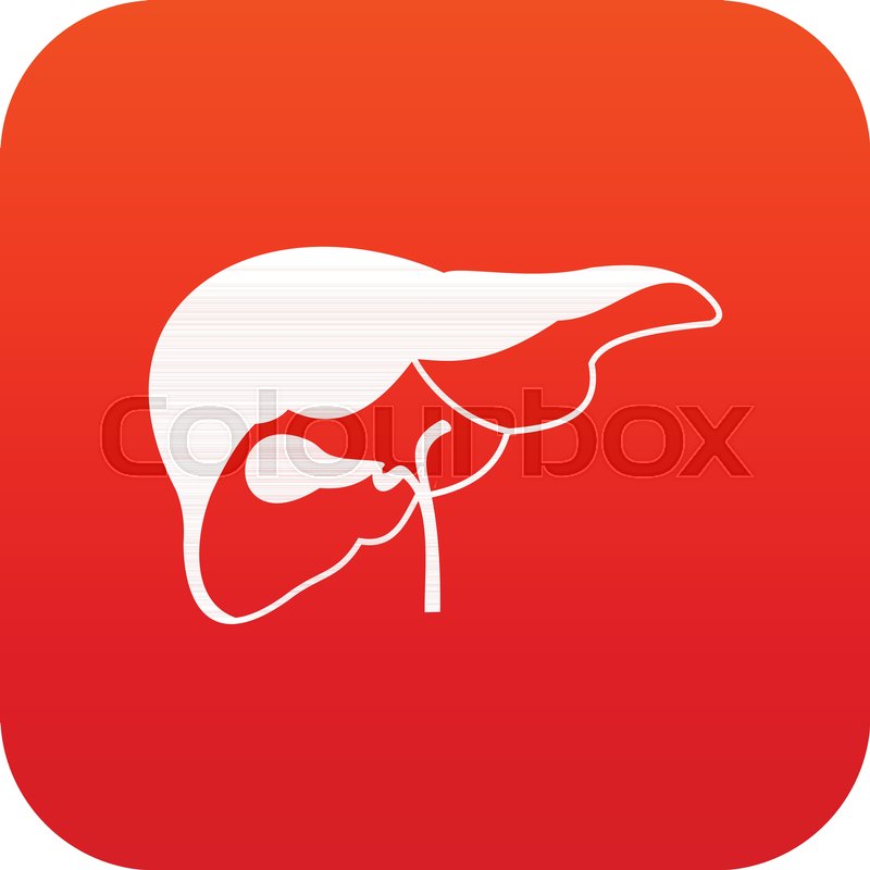 Liver icon digital red for any design ... | Stock vector | Colourbox
