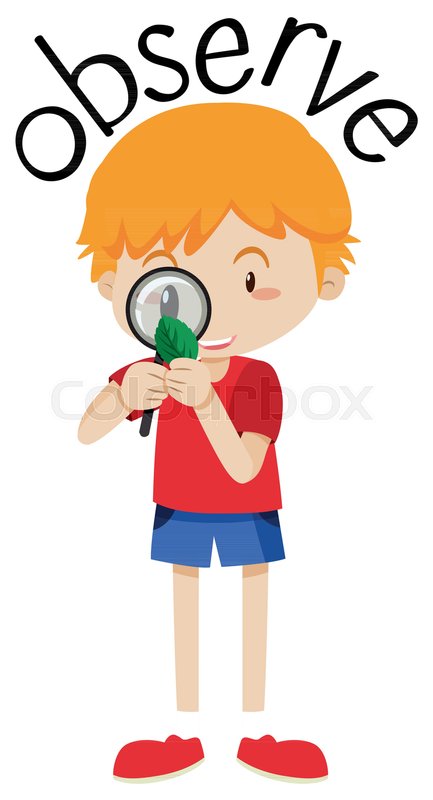 Wordcard for obserbe with boy looking ... | Stock vector | Colourbox