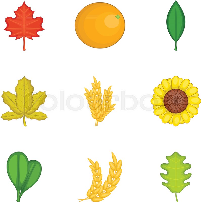 Bloom icons set. Cartoon set of 9 ... | Stock vector | Colourbox