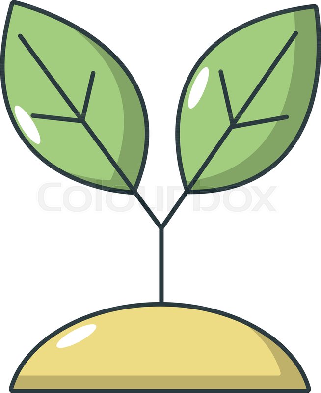 Plant Sprout Cartoon