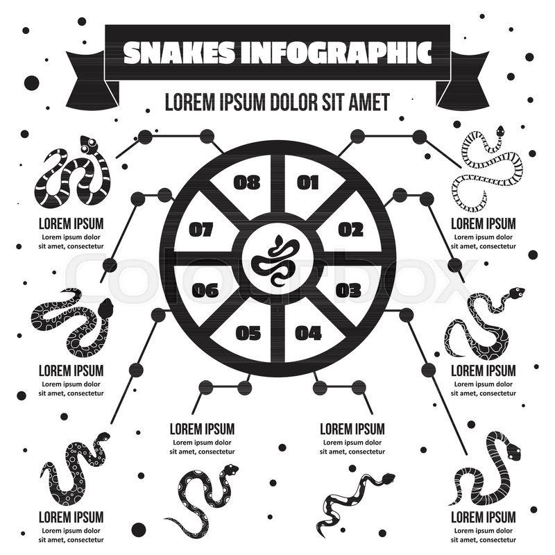 Snake infographic banner concept. ... | Stock vector | Colourbox