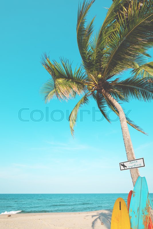 Vintage surf board with palm tree on ... | Stock image | Colourbox