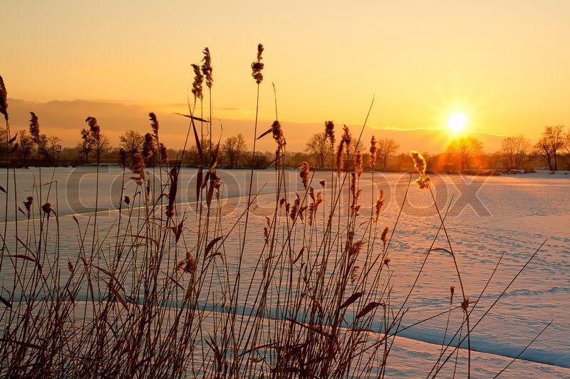Smuk vinter solnedgang på den frosne ... | Stock foto | Colourbox