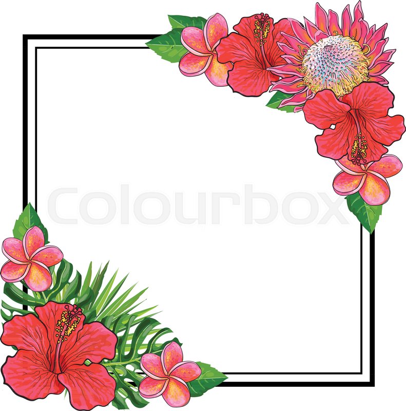 Tropical flowers bouquet elements at ... | Stock vector | Colourbox