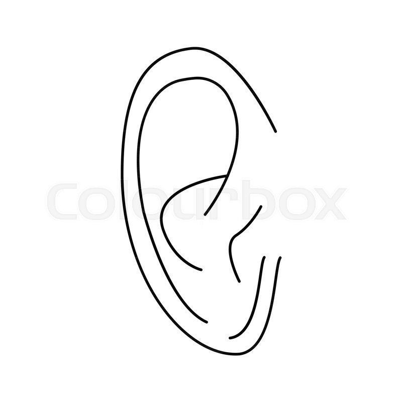 Ear icon. Outline ear vector icon for ... | Stock vector | Colourbox