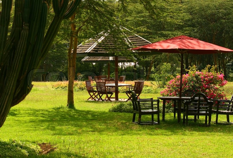 Outdoor summertime cafeteria surrounded ... | Stock image | Colourbox