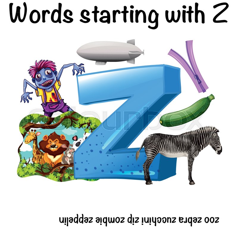 Words That Start With Z