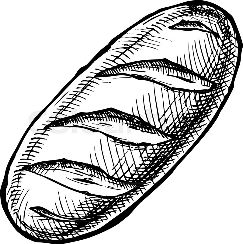 Hand drawn Illustration of long loaf ... | Stock vector | Colourbox
