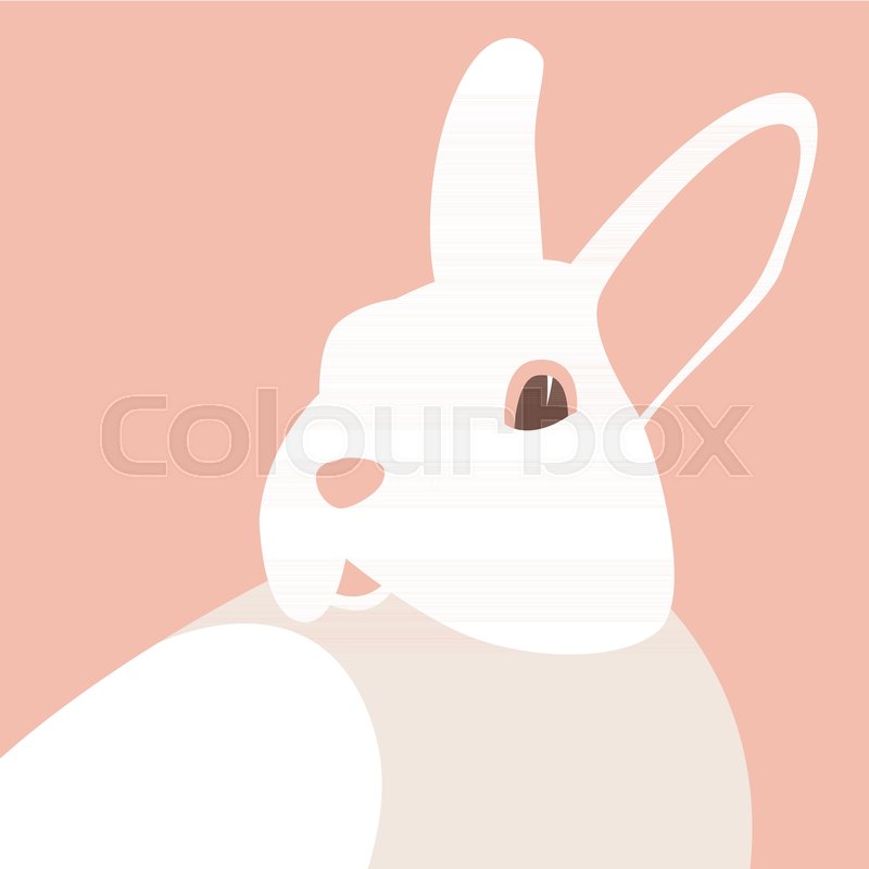 Rabbit head vector illustration flat ... | Stock vector | Colourbox