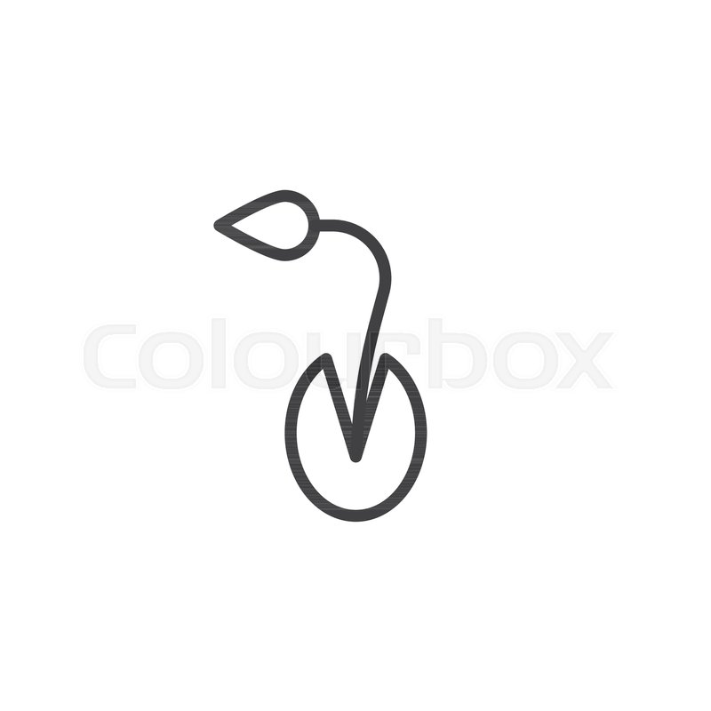 Seed Icon