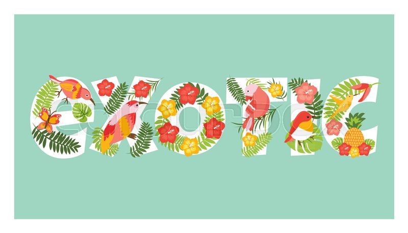 Exotic card with tropical elements and ... | Stock vector | Colourbox