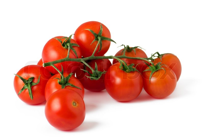Ripe fresh cherry tomatoes on branch on a white background | Stock Photo | Colourbox