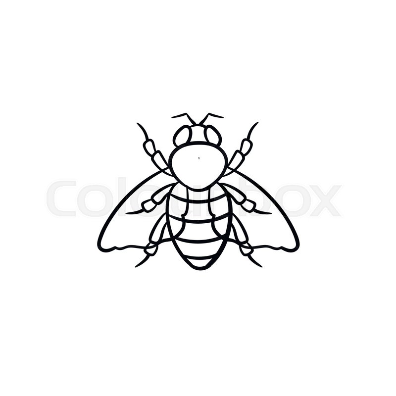 Fly hand drawn outline doodle icon. ... | Stock vector | Colourbox