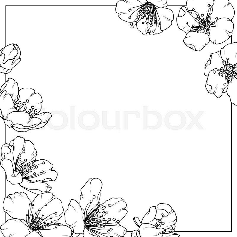 Spring Flower Border Black And White
