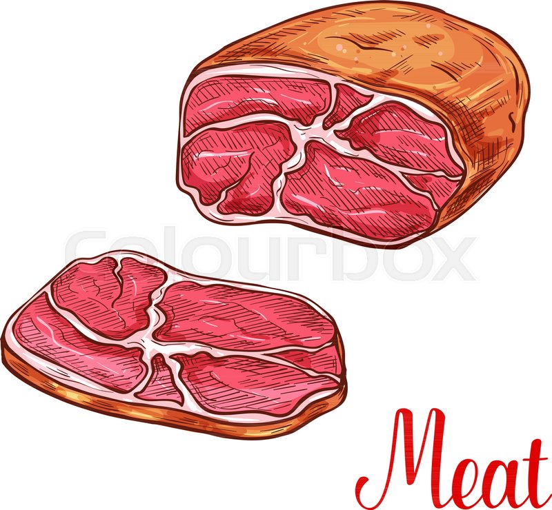 Meat brisket with slice sketch of ... | Stock vector | Colourbox
