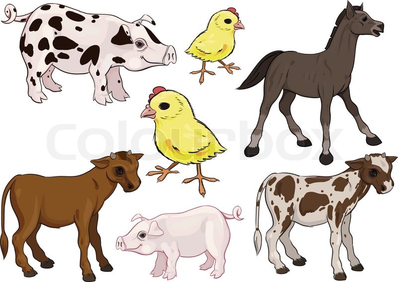 Horse, Pig, Cow, Chicken | Stock Vector | Colourbox