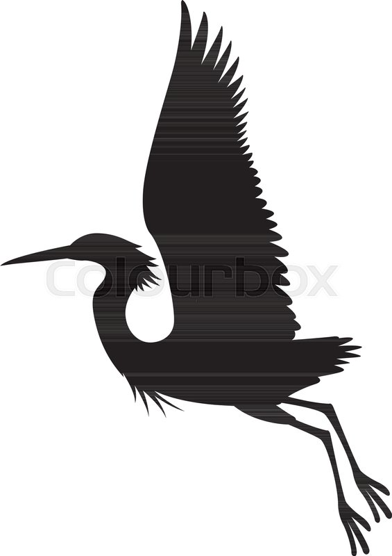 bird heron vector illustration ... | Stock vector | Colourbox
