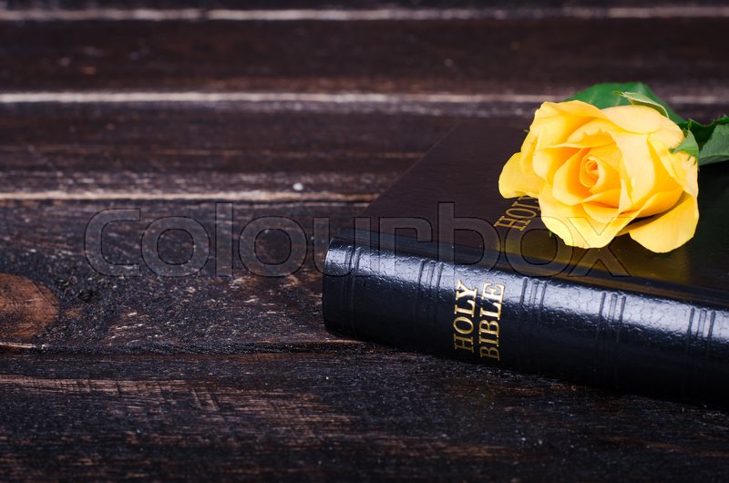 Yellow rose laying on a Bible, wooden ... | Stock image | Colourbox