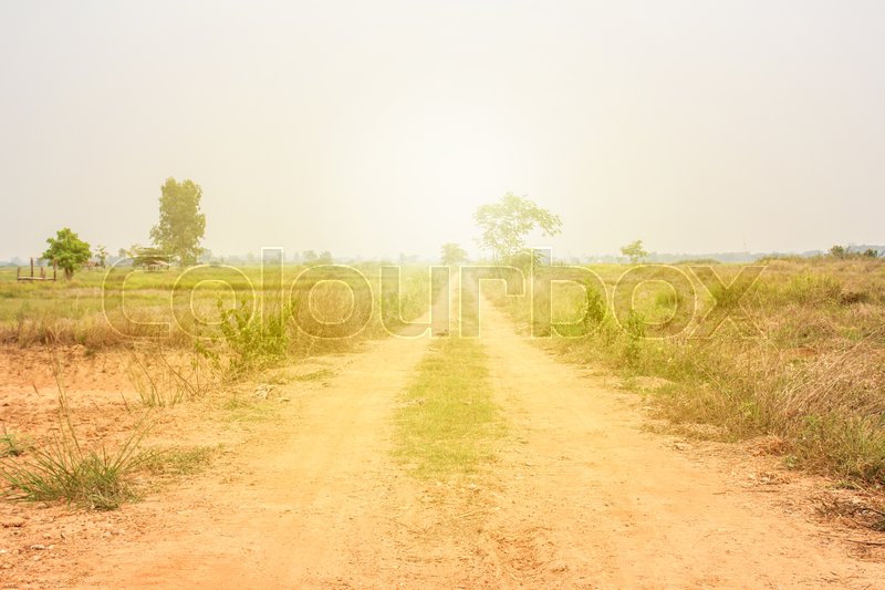 Countryside Road Natural Landscape