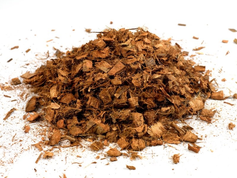 Have træ chip barkflis isoleret mod en ... | Stock foto | Colourbox