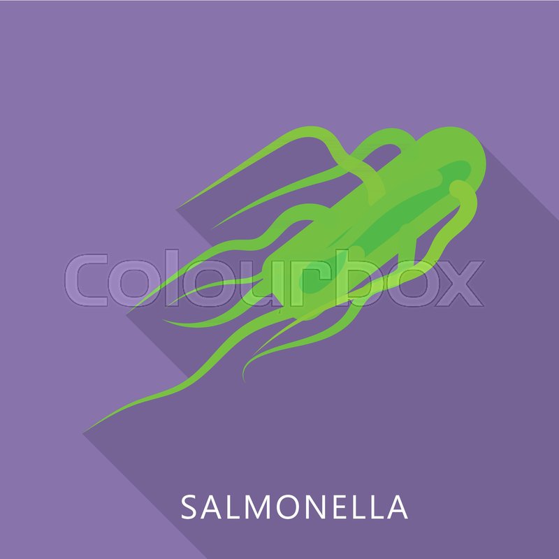 Salmonella icon. Flat illustration of ... | Stock vector | Colourbox