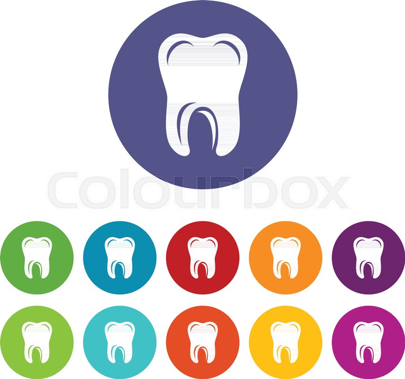 Single Teeth Vector