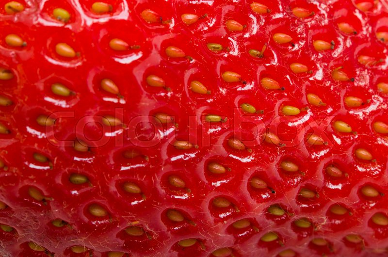 Background from strawberry texture | Stock image | Colourbox
