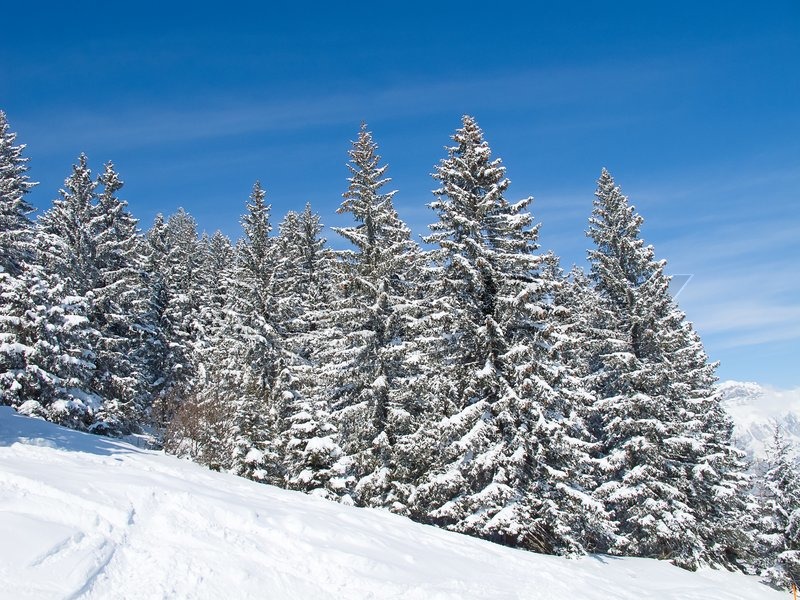 Vinter i de schweiziske alper , Schweiz | Stock foto | Colourbox