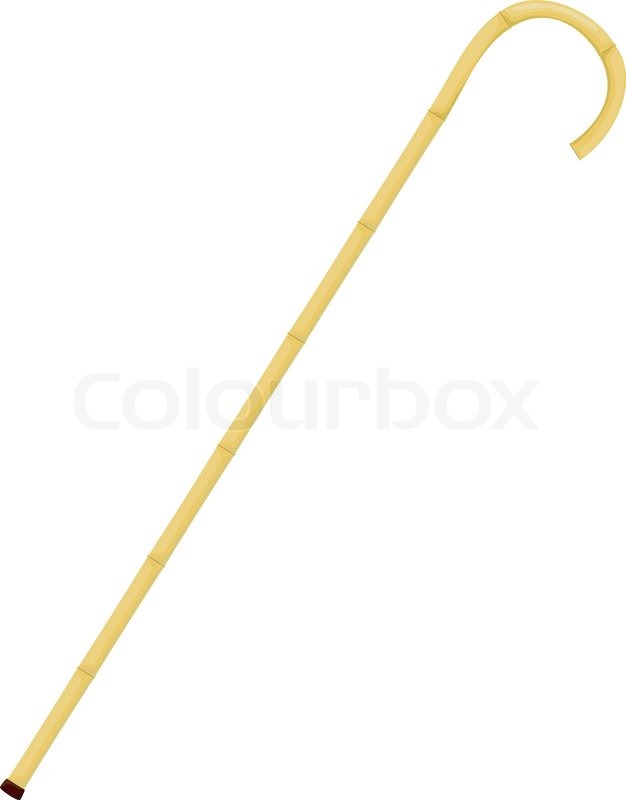Vector illustration of a bamboo cane | Stock vector | Colourbox