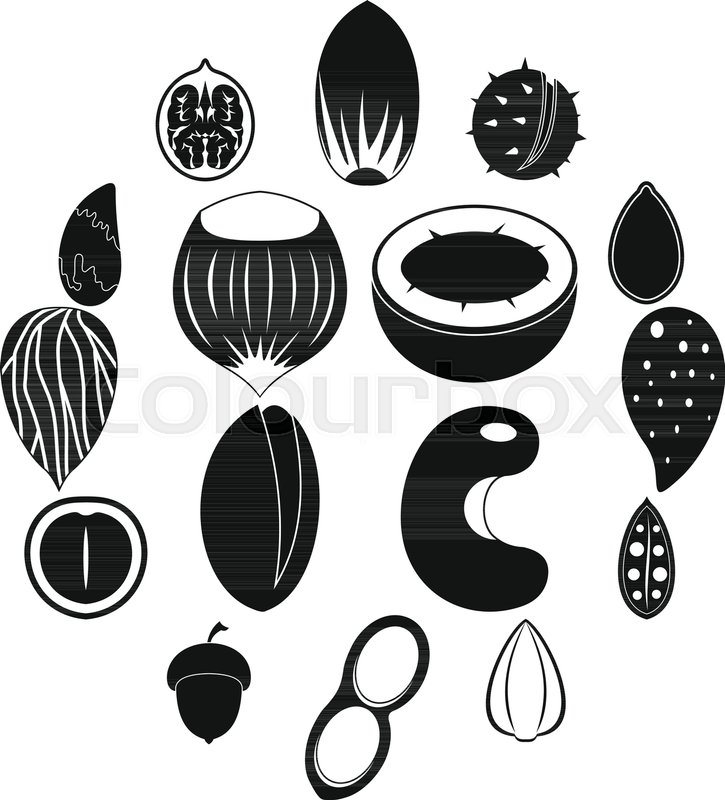 Nuts icons set. Simple illustration of ... | Stock vector | Colourbox