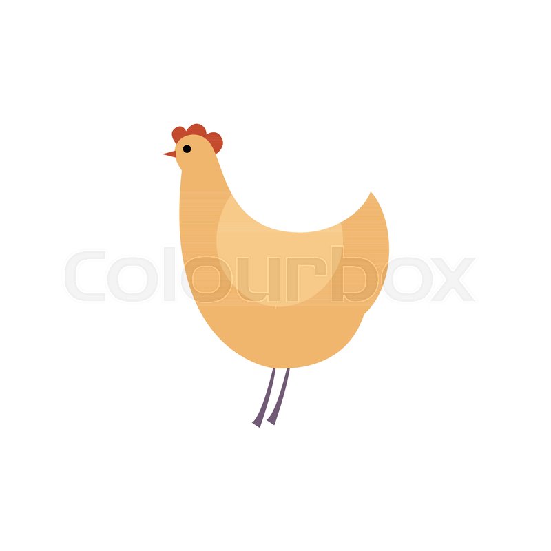 Chicken Side View