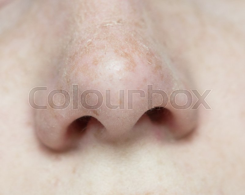 Close up shot of human nose | Stock image | Colourbox