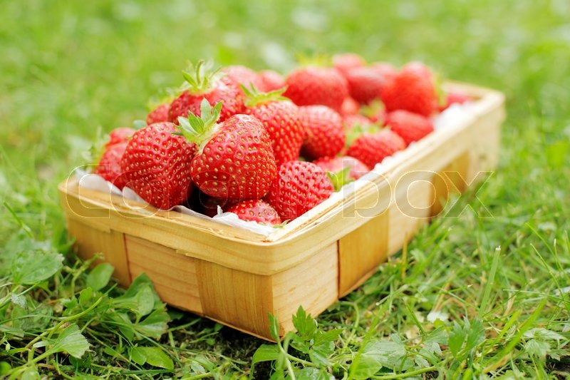 Strawberries in a small wooden box | Stock image | Colourbox