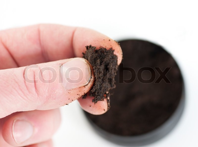 Pinch of moist snuff with snuffbox in ... | Stock image | Colourbox